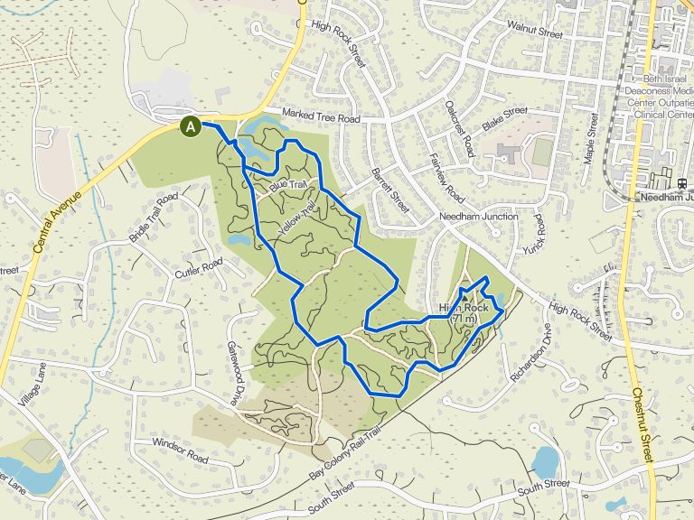 Needham Town Forest loop via Martini Junction & High Rock | hike | Komoot